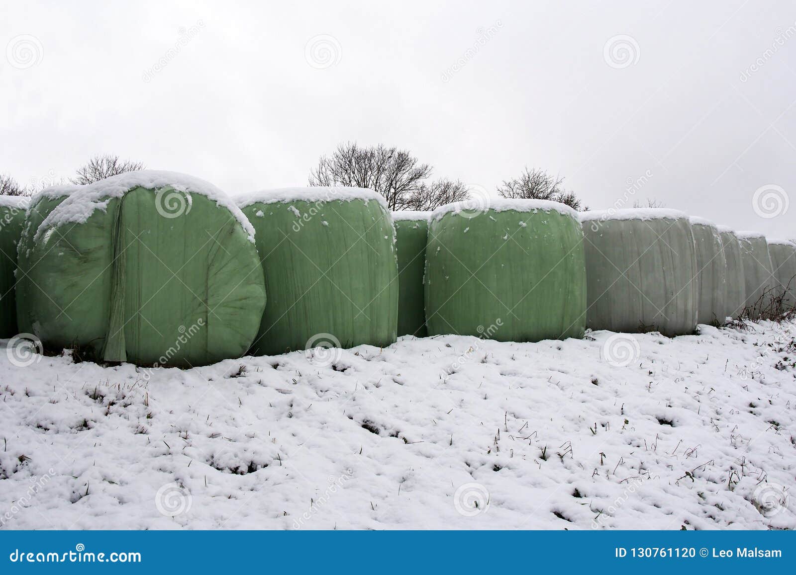Winter Landscape. Rolls with Fodder in Winter. Stock Photo - Image of ...