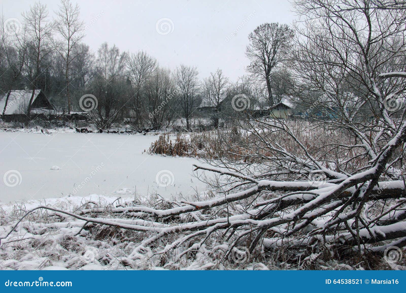 Winter Landscape stock image. Image of rural, cold, overcast - 64538521