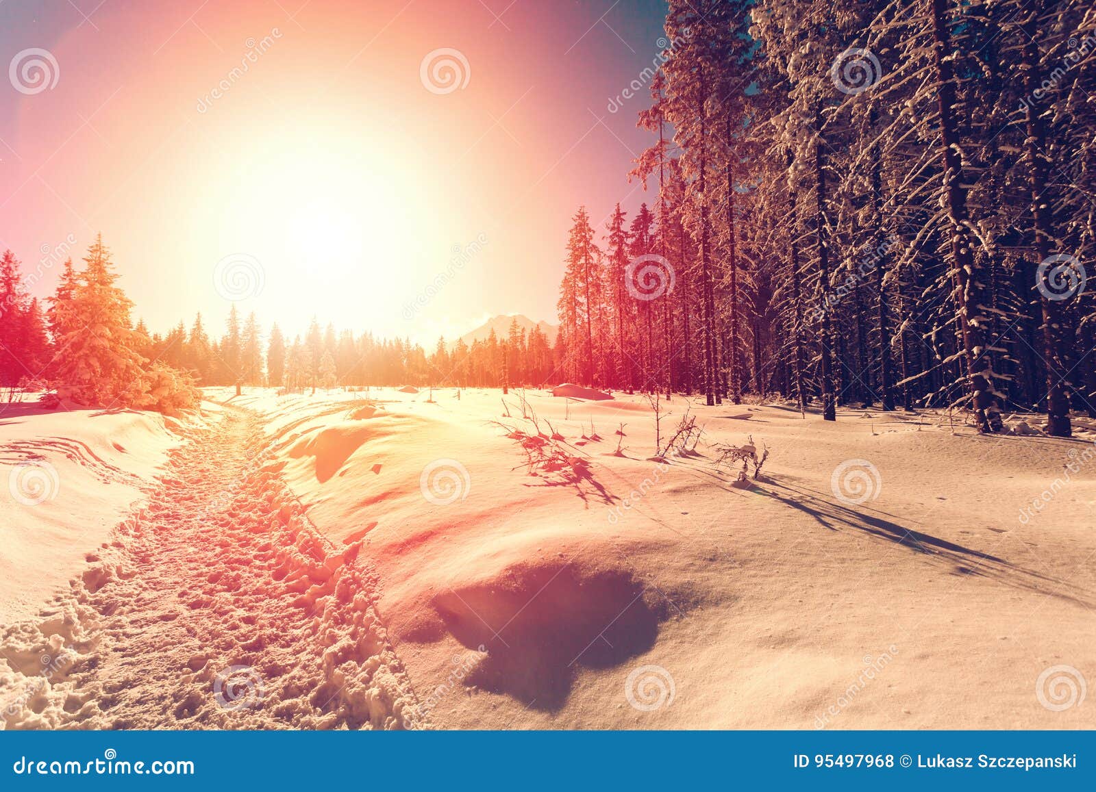 Winter Landscape with Setting Sun Stock Photo - Image of clear, yellow ...