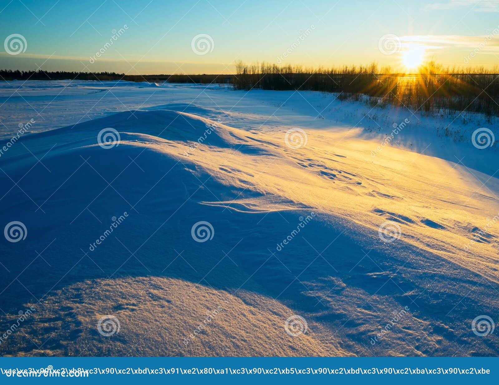 Winter Landscape with the Setting Sun in Snowy Field. Stock Image ...