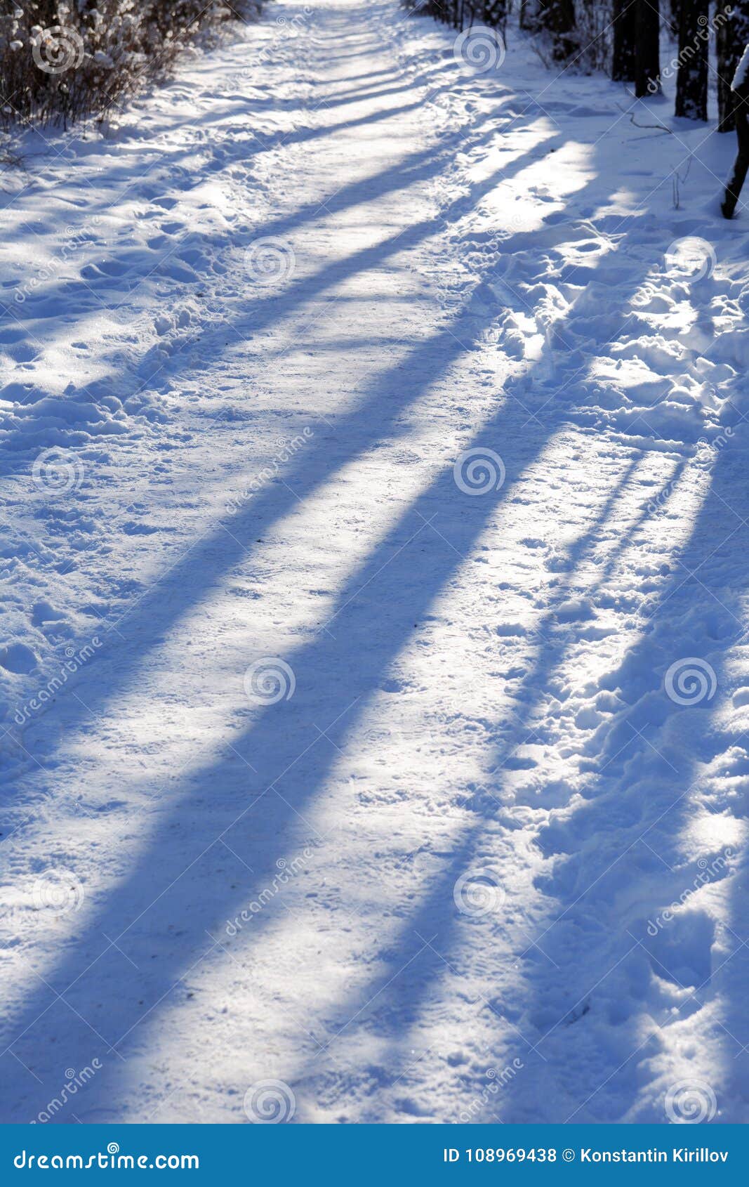 Winter Landscape with Shadow Stock Photo - Image of road, area: 108969438