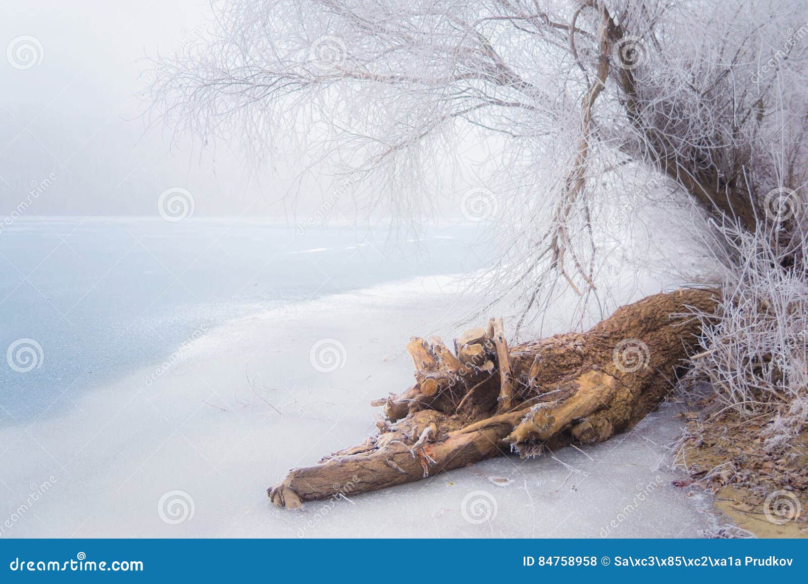 Winter Landscape Showing Frozen River, and Fallen Tree at Shore Stock ...