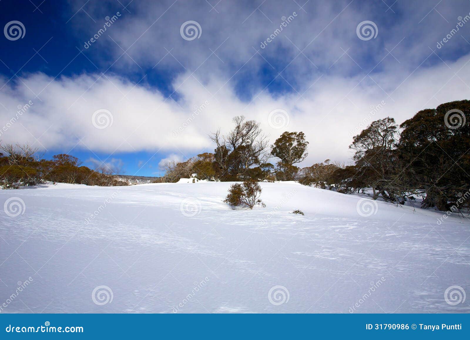 Winter landscape with snow stock photo. Image of rocks - 31790986