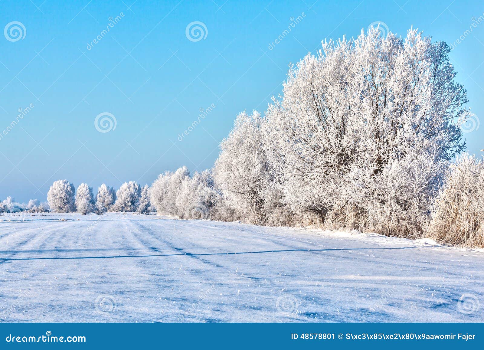 Winter Landscape Snow-covered Fields Stock Image - Image of snow, field ...