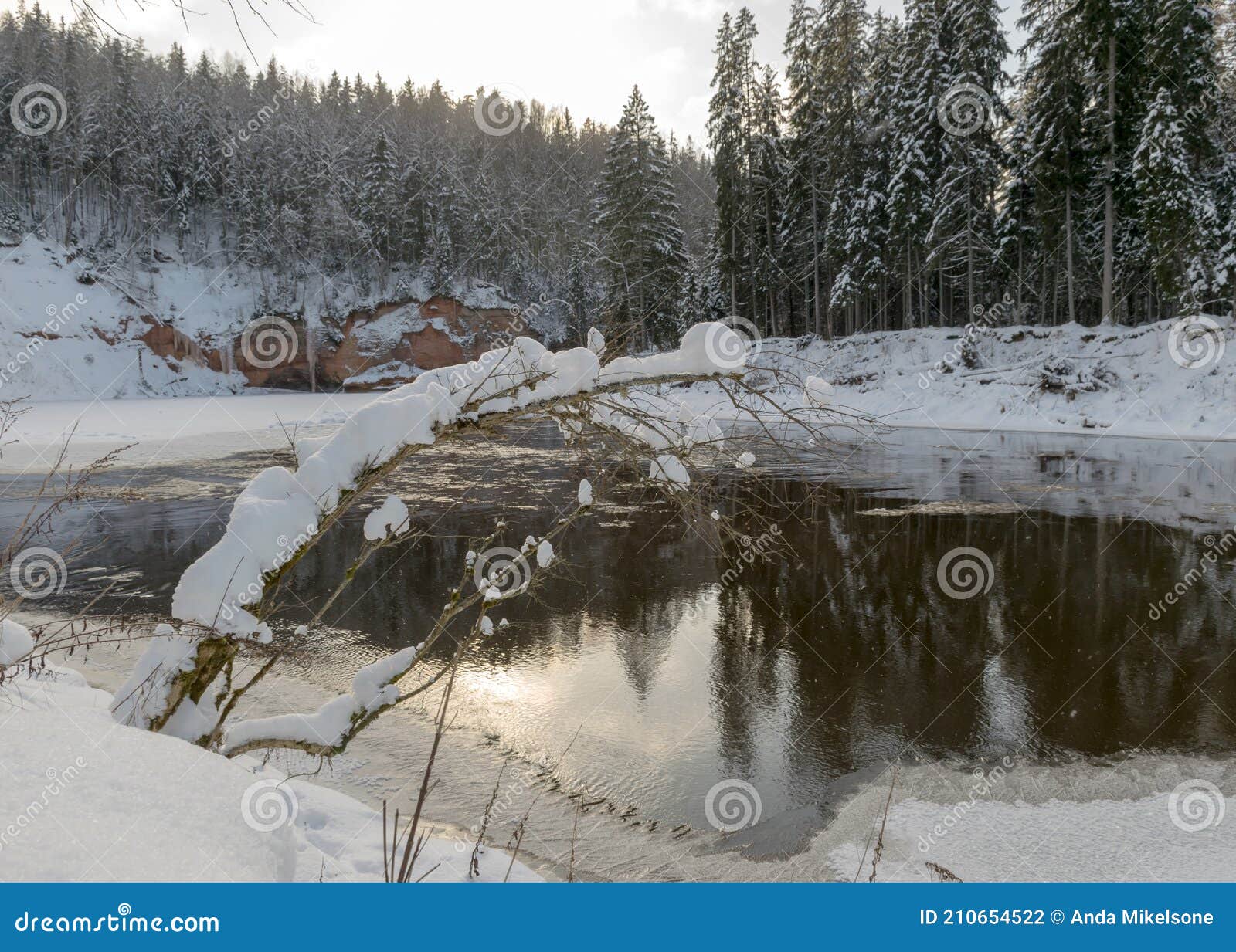 Winter Landscape, Snow-covered Ground, Snow Branches on Tree Branches ...