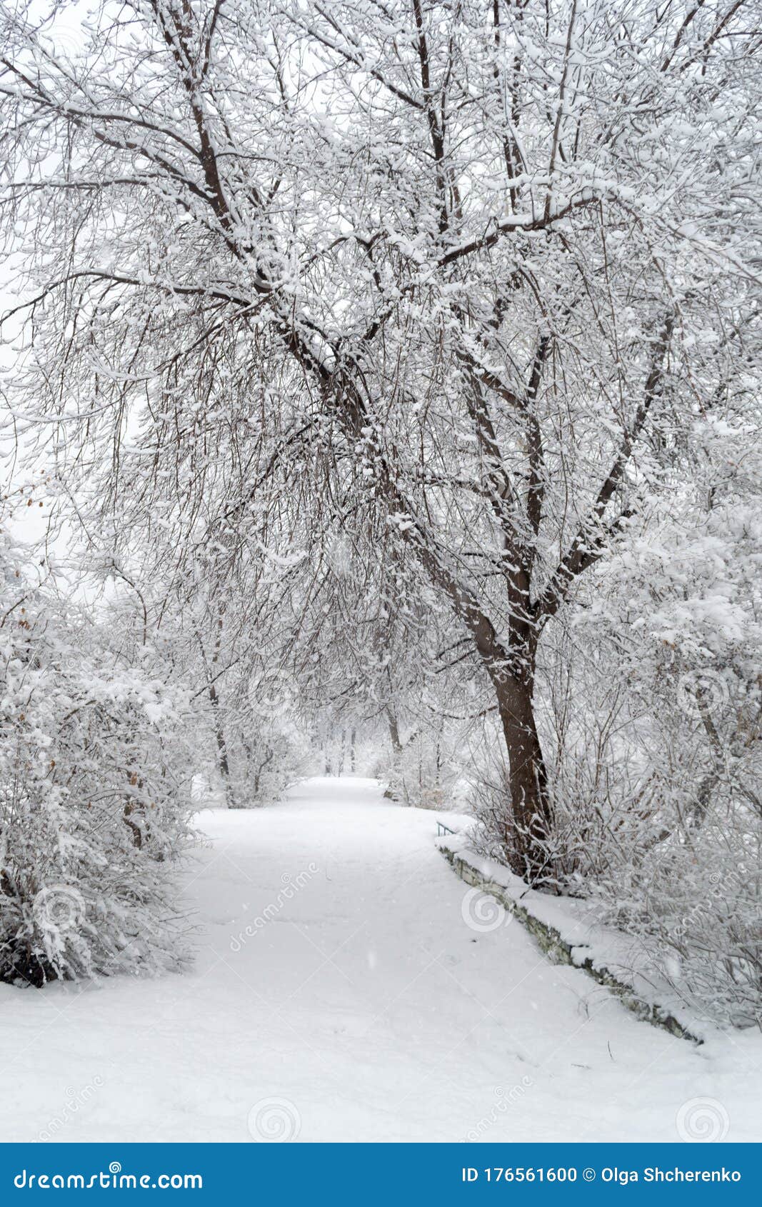 Winter Landscape. Snow Covered Path in a City Park Stock Photo - Image ...