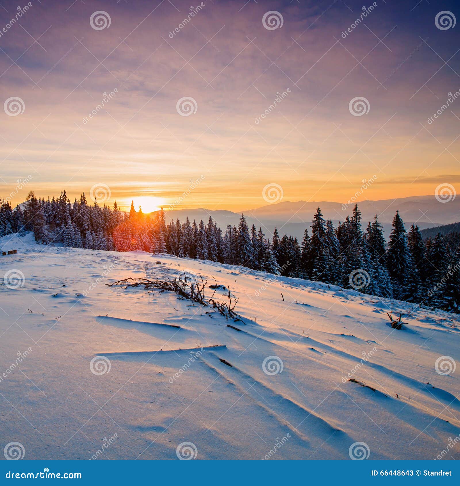 Winter Landscape with Snow in Mountains Carpathians, Ukraine Stock ...