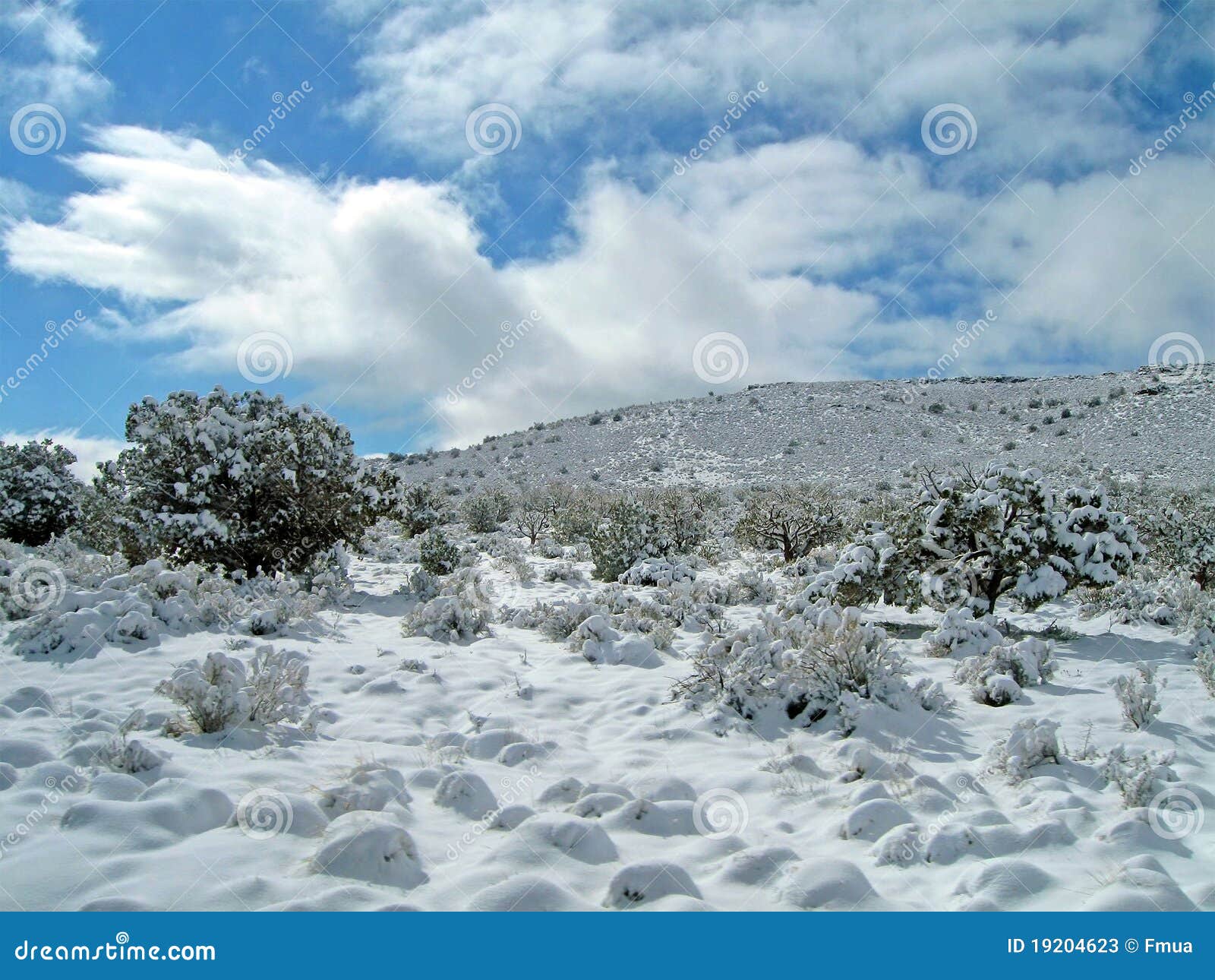 Winter Landscape,snow Nature Environment, Stock Image - Image of land ...