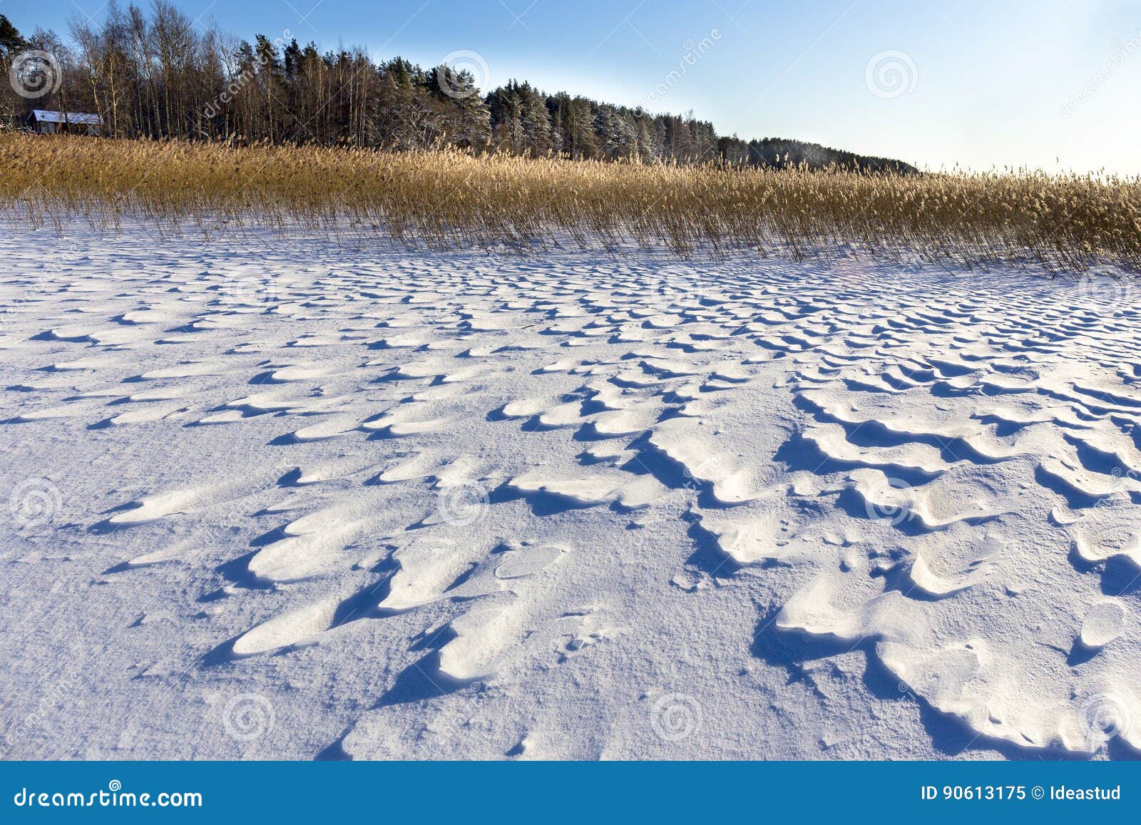 Winter Landscape with Snow Relief Surface Stock Image - Image of ...
