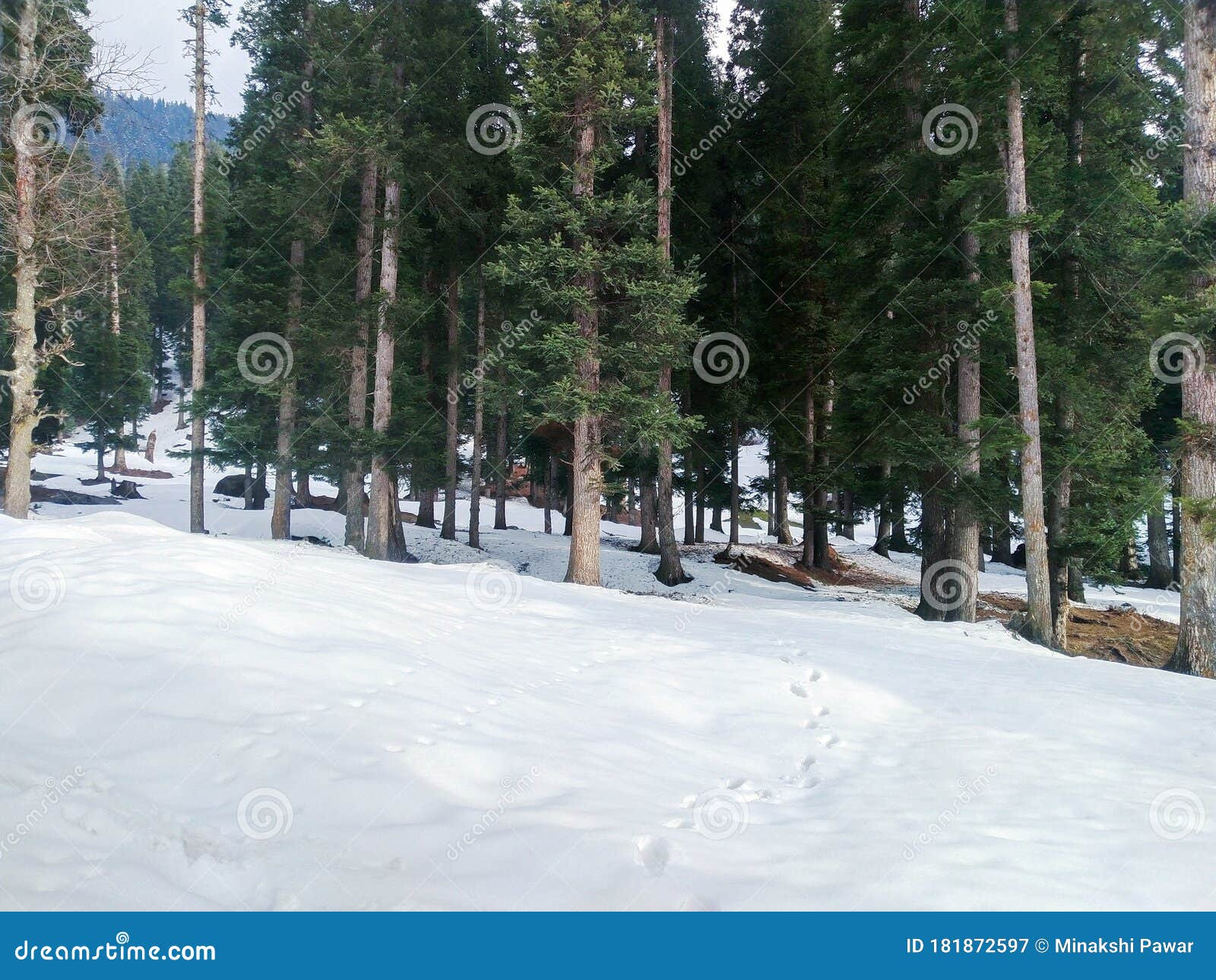 Winter landscape with snow stock image. Image of mountain - 181872597