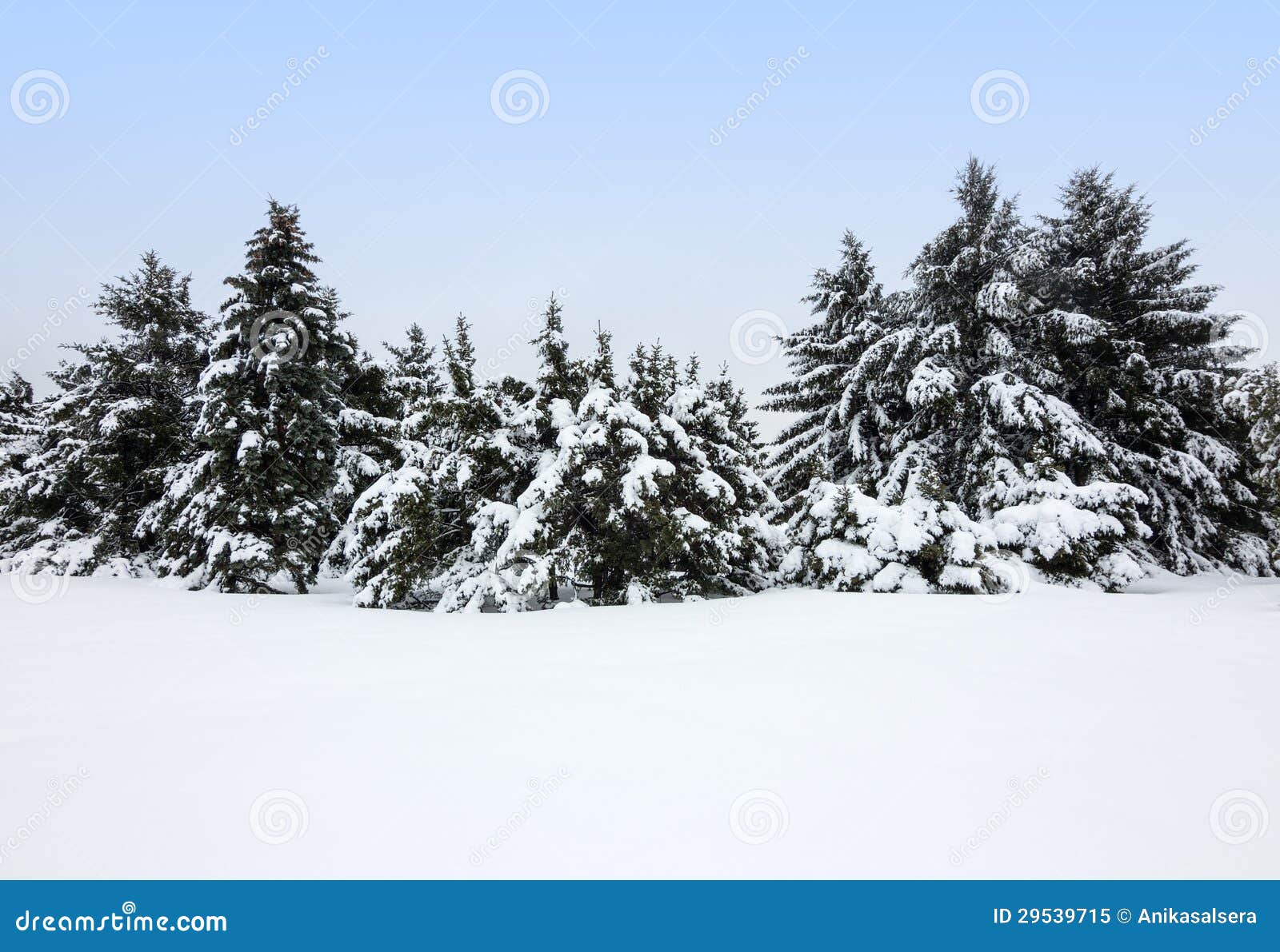 Winter Landscape after the Snowstorm Stock Image - Image of copyspace ...