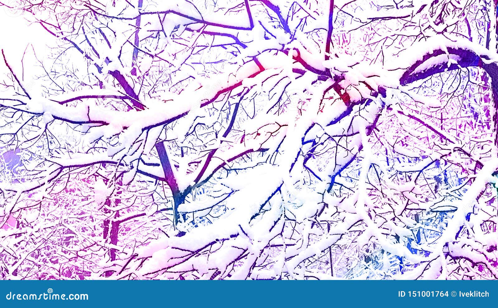 Winter Landscape of Snowy Tree Branches in Abstract Modern Gradient ...