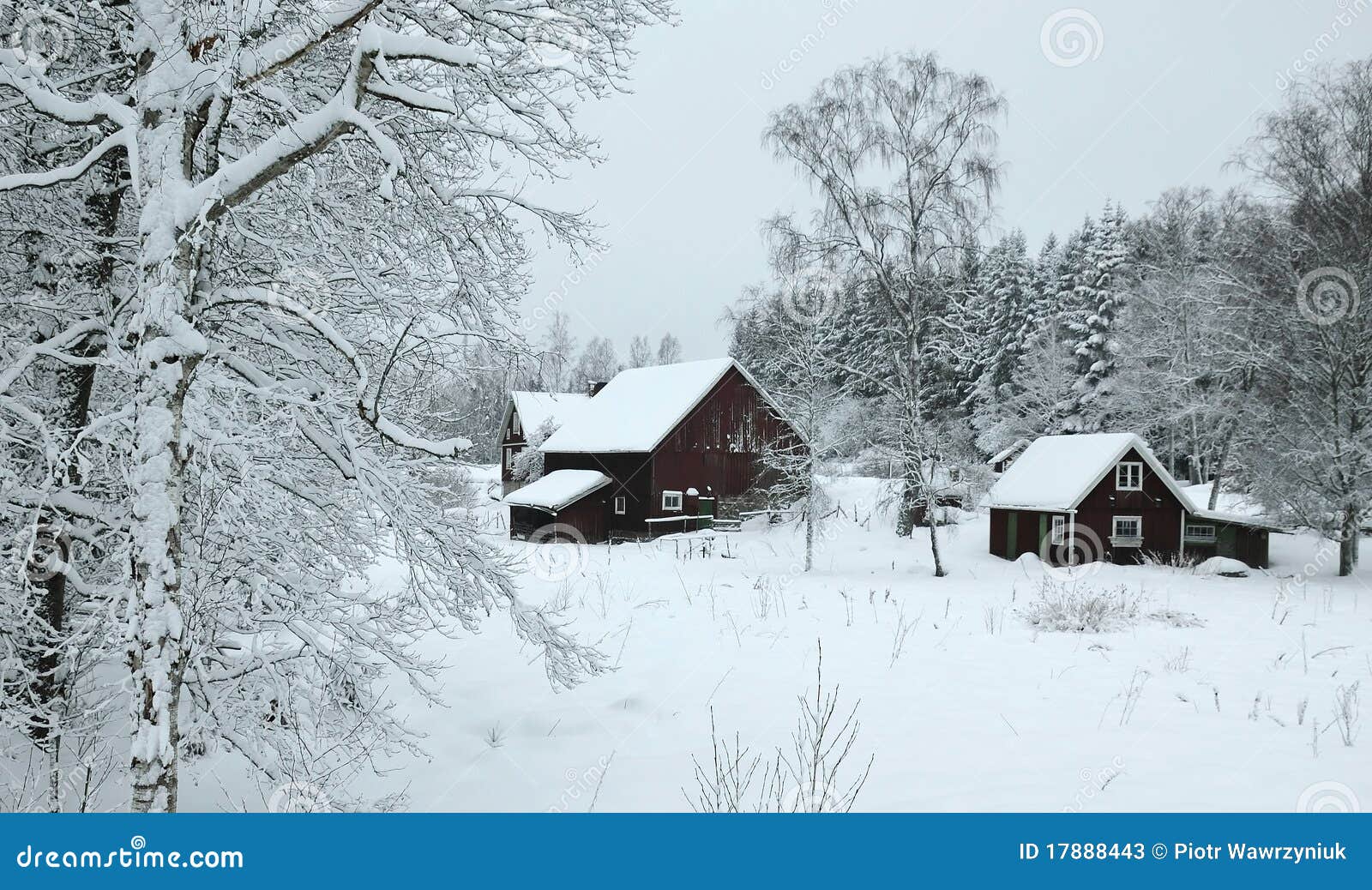 Winter Landscape in Southern Sweden Stock Image - Image of snowy ...