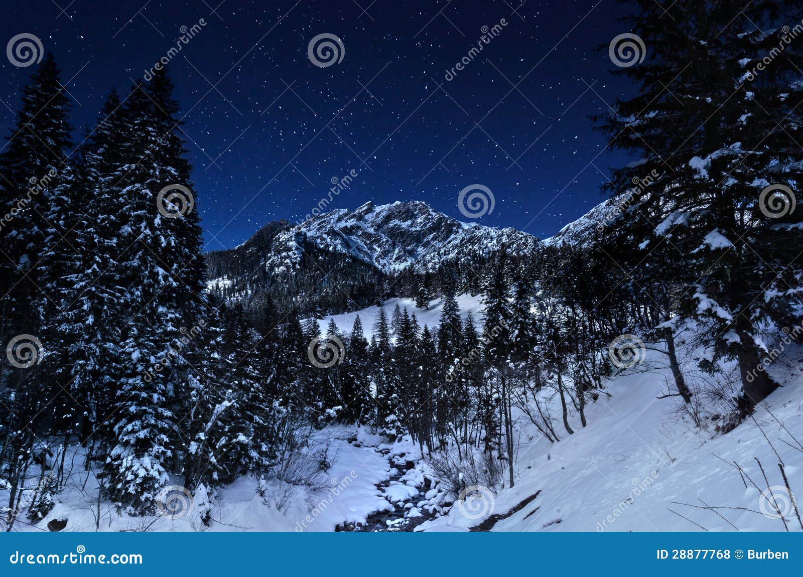 Winter Landscape in a Starry Night Stock Photo - Image of milky ...