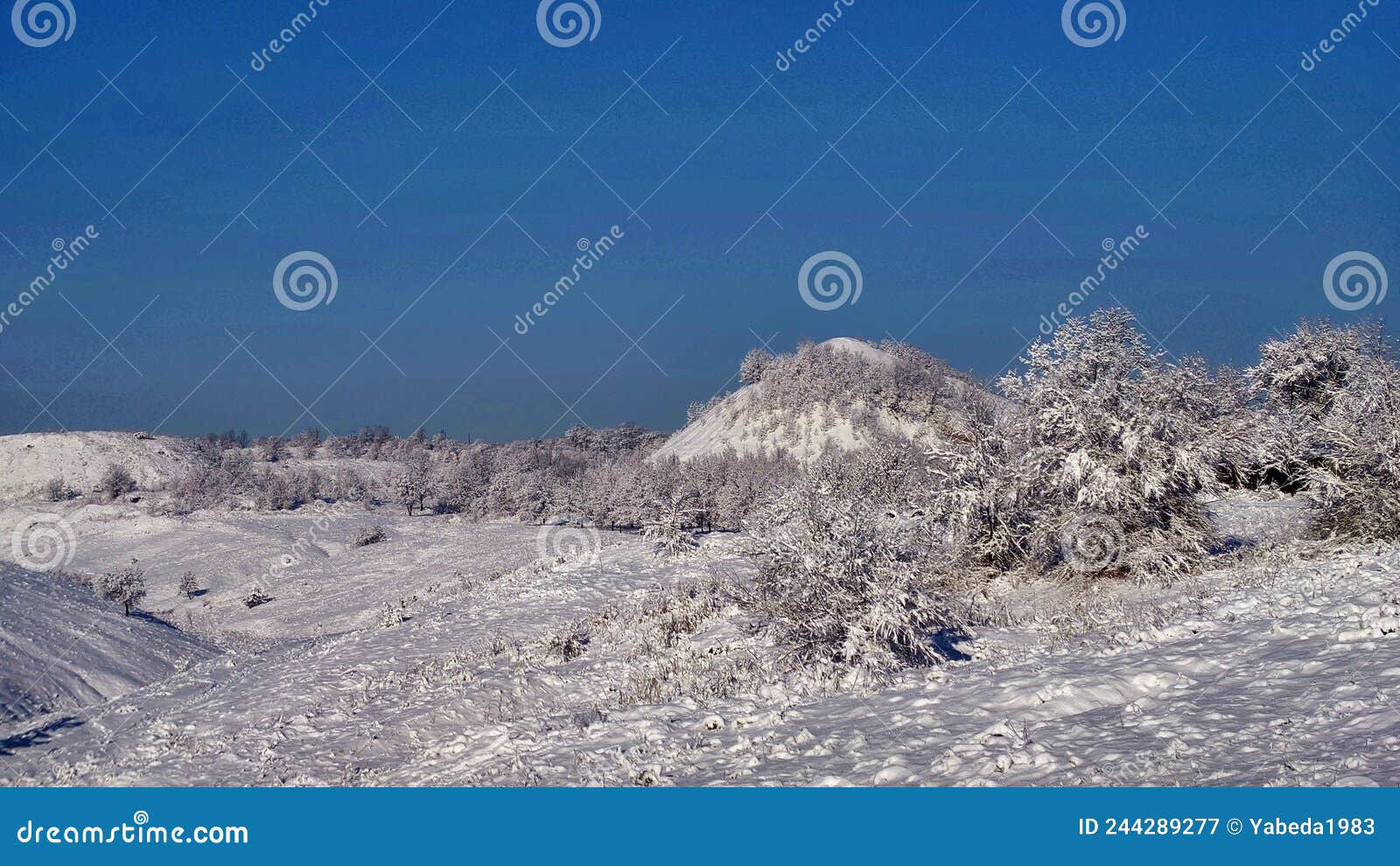 Winter Landscape of the Steppe Covered with Snow-white Snow Stock Image ...
