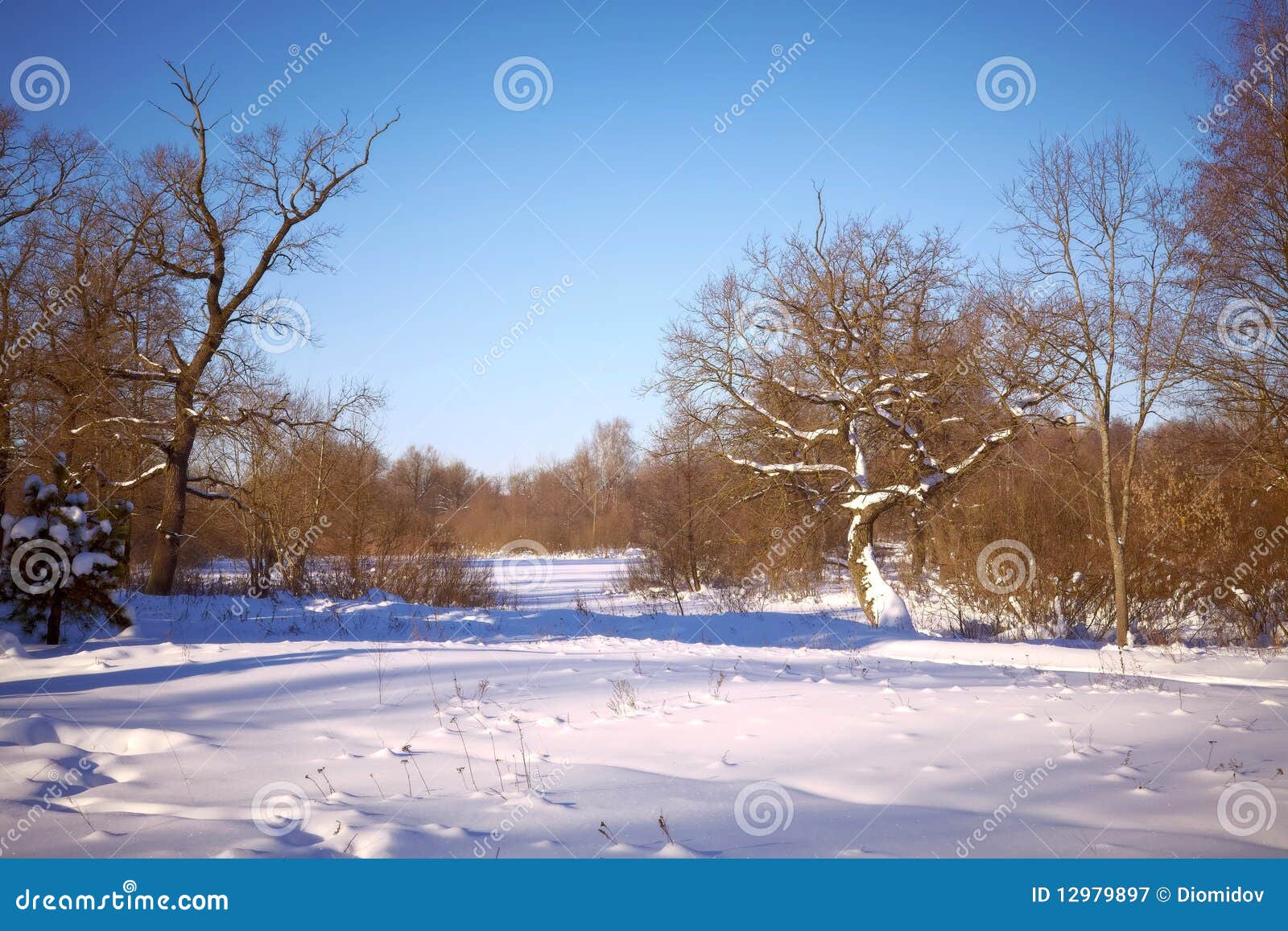 Winter Landscape in a Sunny Day Stock Image - Image of branch, beauty ...