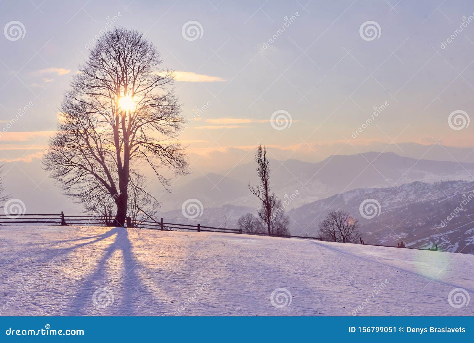Winter Landscape Sunrise in the Snowy Mountains and a Tree on a Slope ...