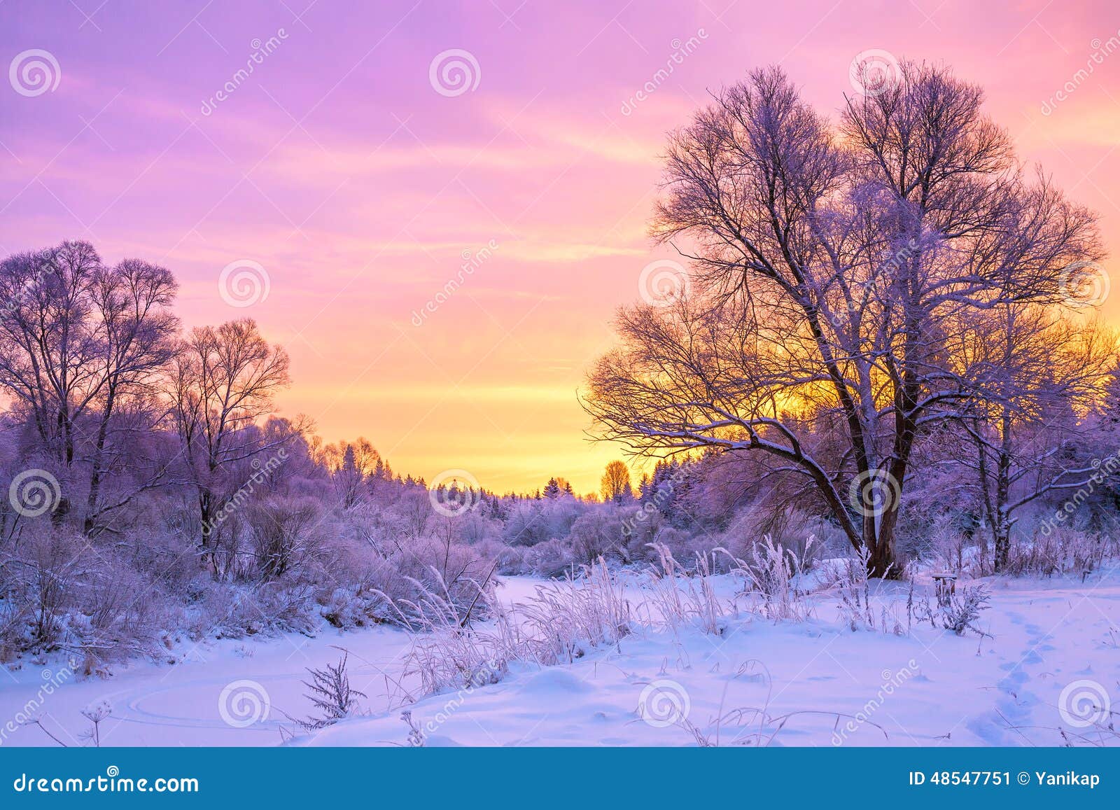 Winter Landscape with Sunset and the Forest Stock Image - Image of ...