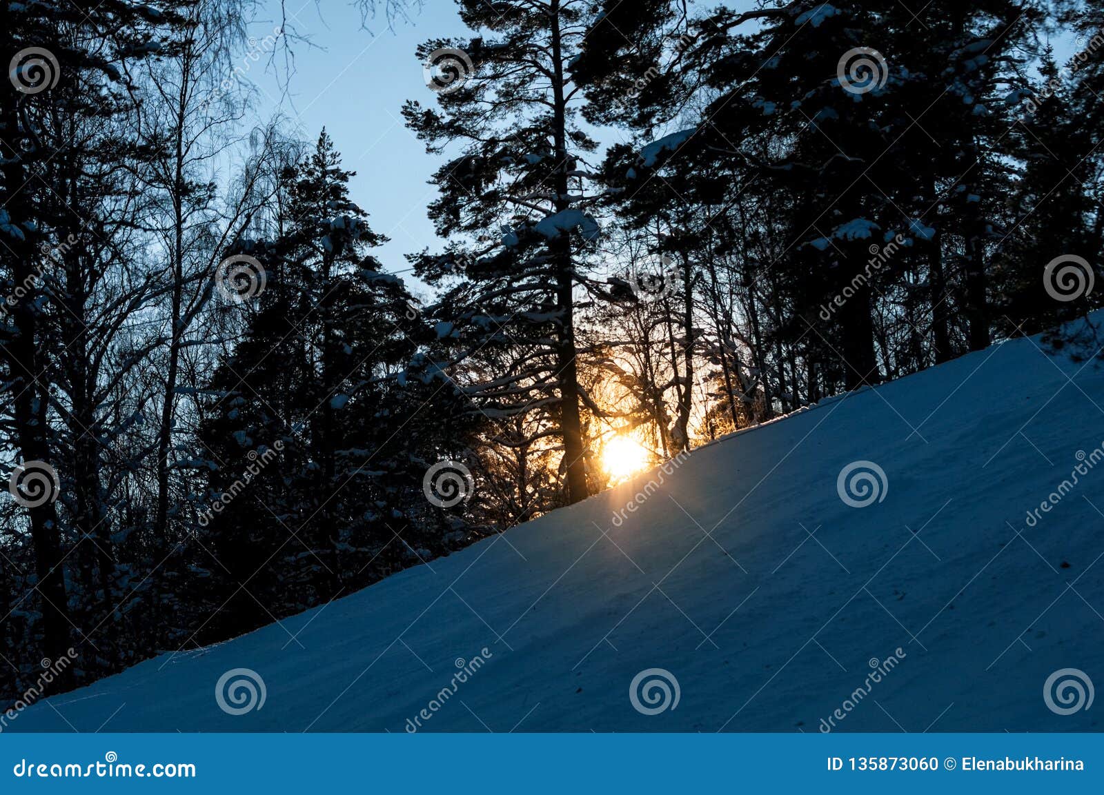 Winter Landscape. Sunset Over the Forest on Snowy Hillside Stock Photo ...