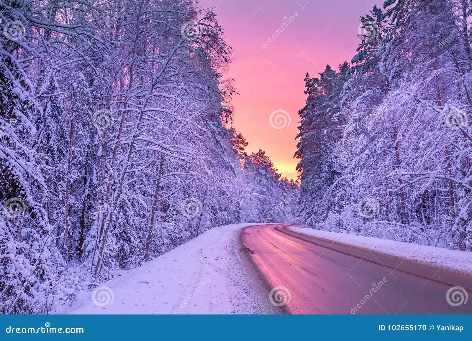Winter Landscape with Sunset,road and Forest Stock Photo - Image of ...