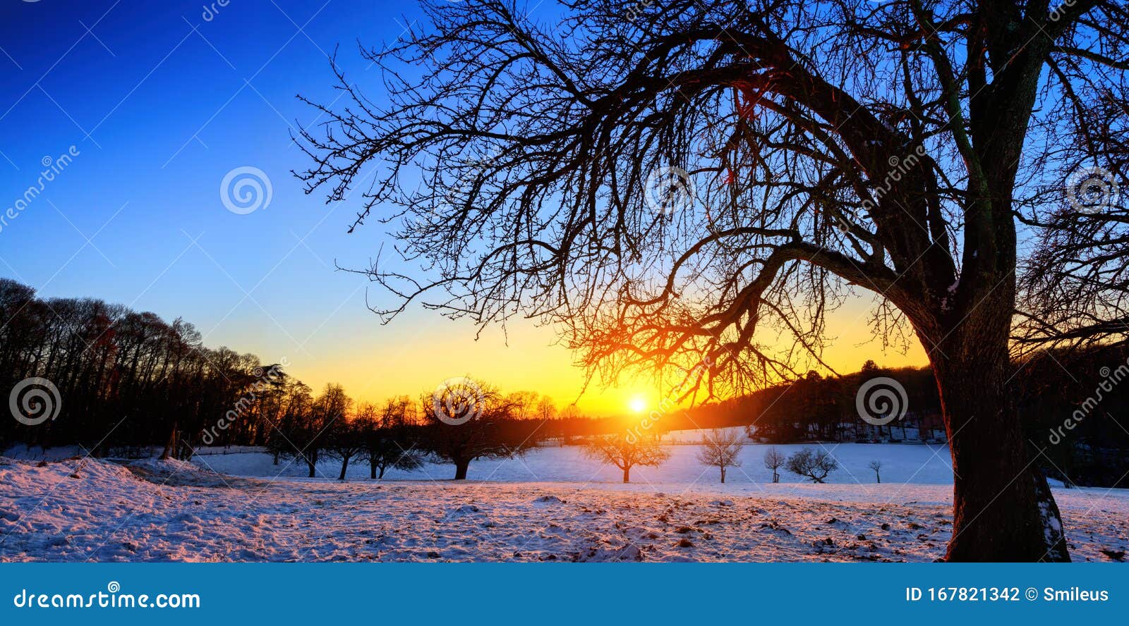 Winter landscape at sunset stock photo. Image of bare - 167821342