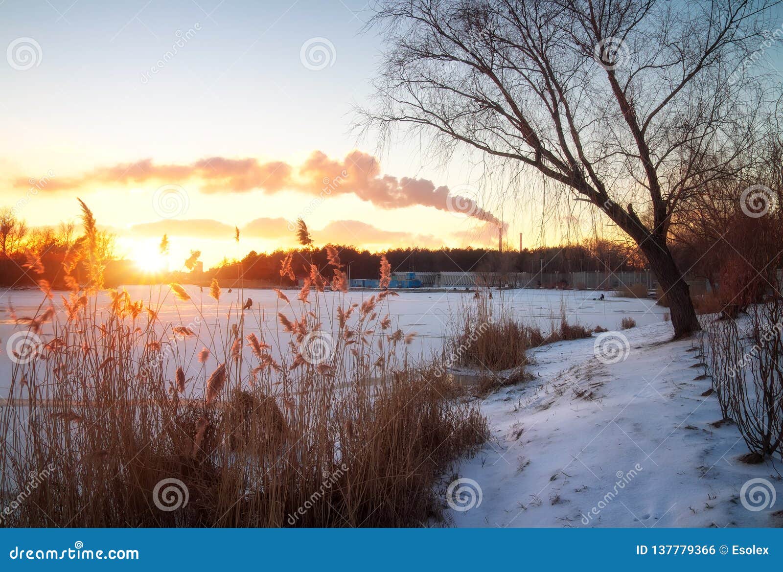 Winter Landscape with Sunset Sky. Stock Photo - Image of plant, fishing ...