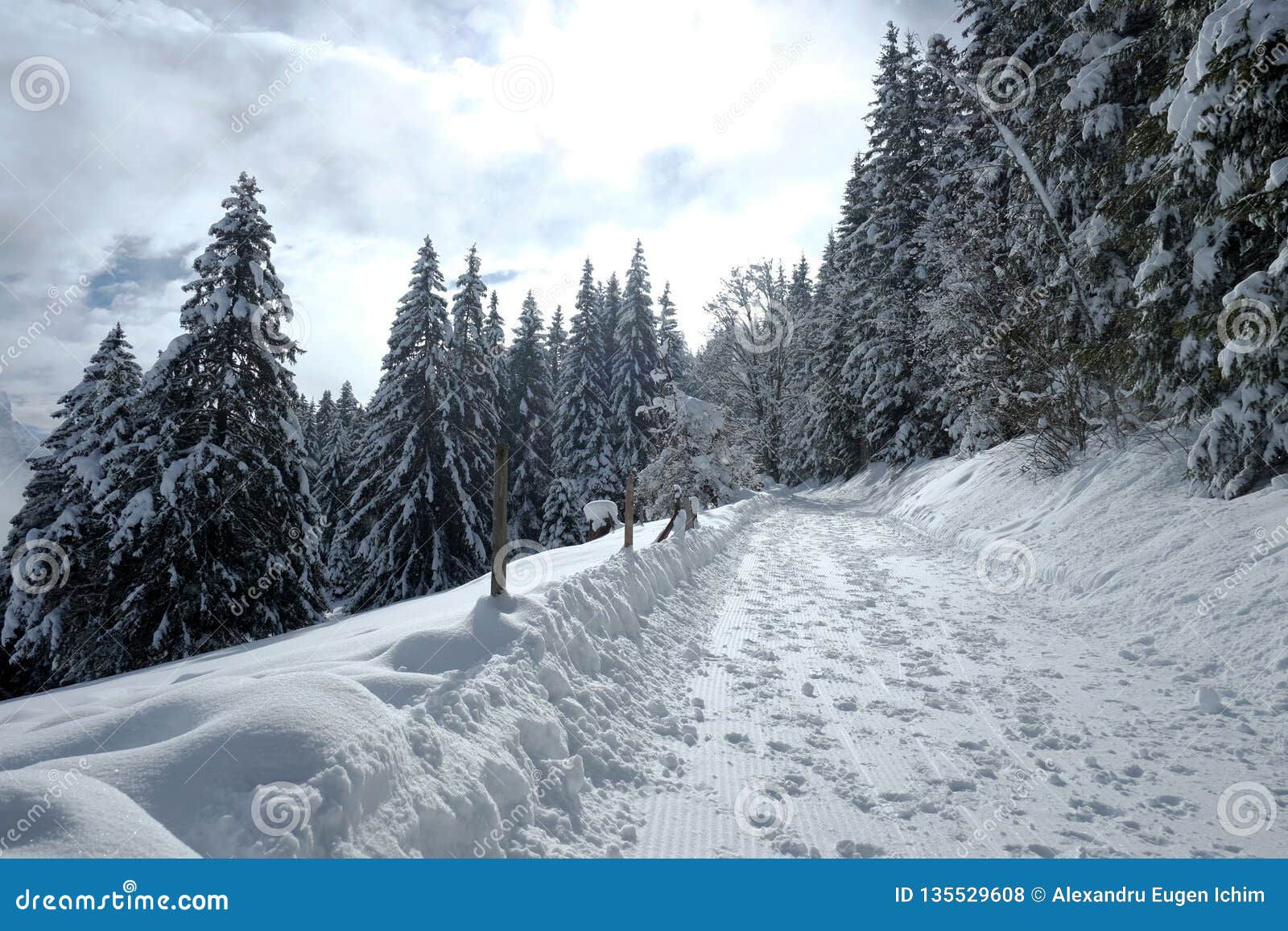 Winter Landscape from Swiss Alps Stock Photo - Image of europe ...