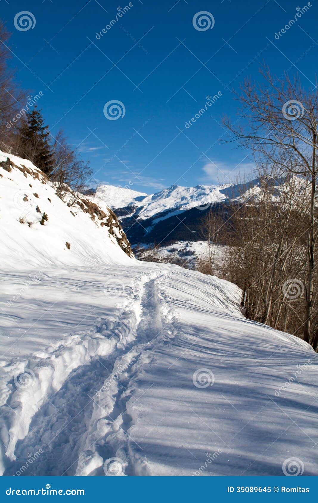 Winter Landscape of Switzerland Alps Stock Image - Image of park ...