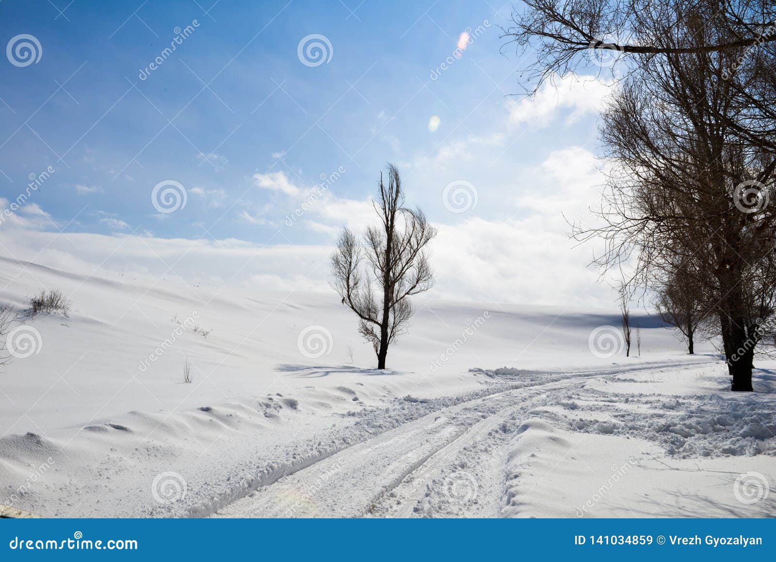 Winter landscape with tree stock image. Image of landscape - 141034859