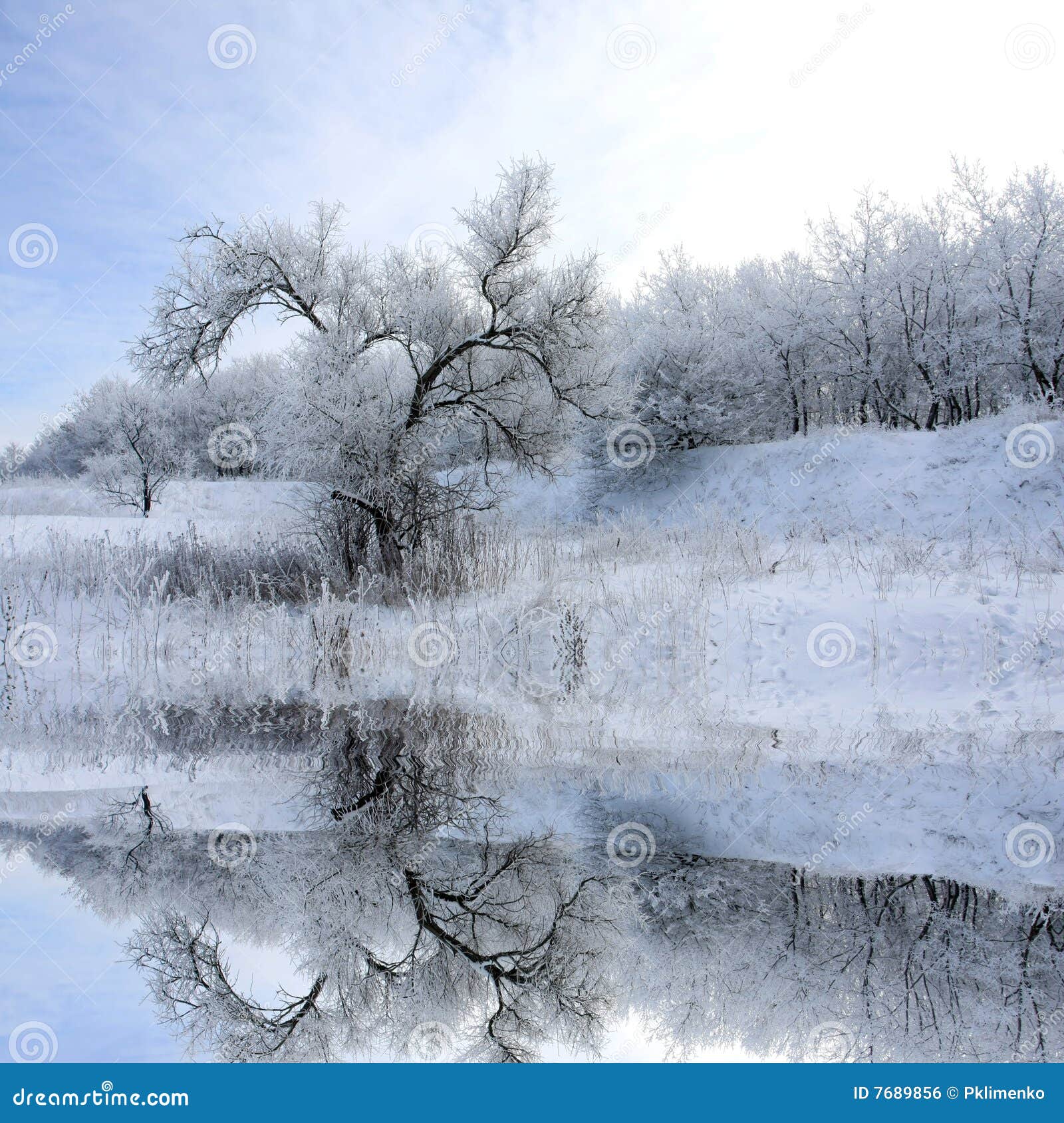 Winter landscape with tree stock photo. Image of travel - 7689856