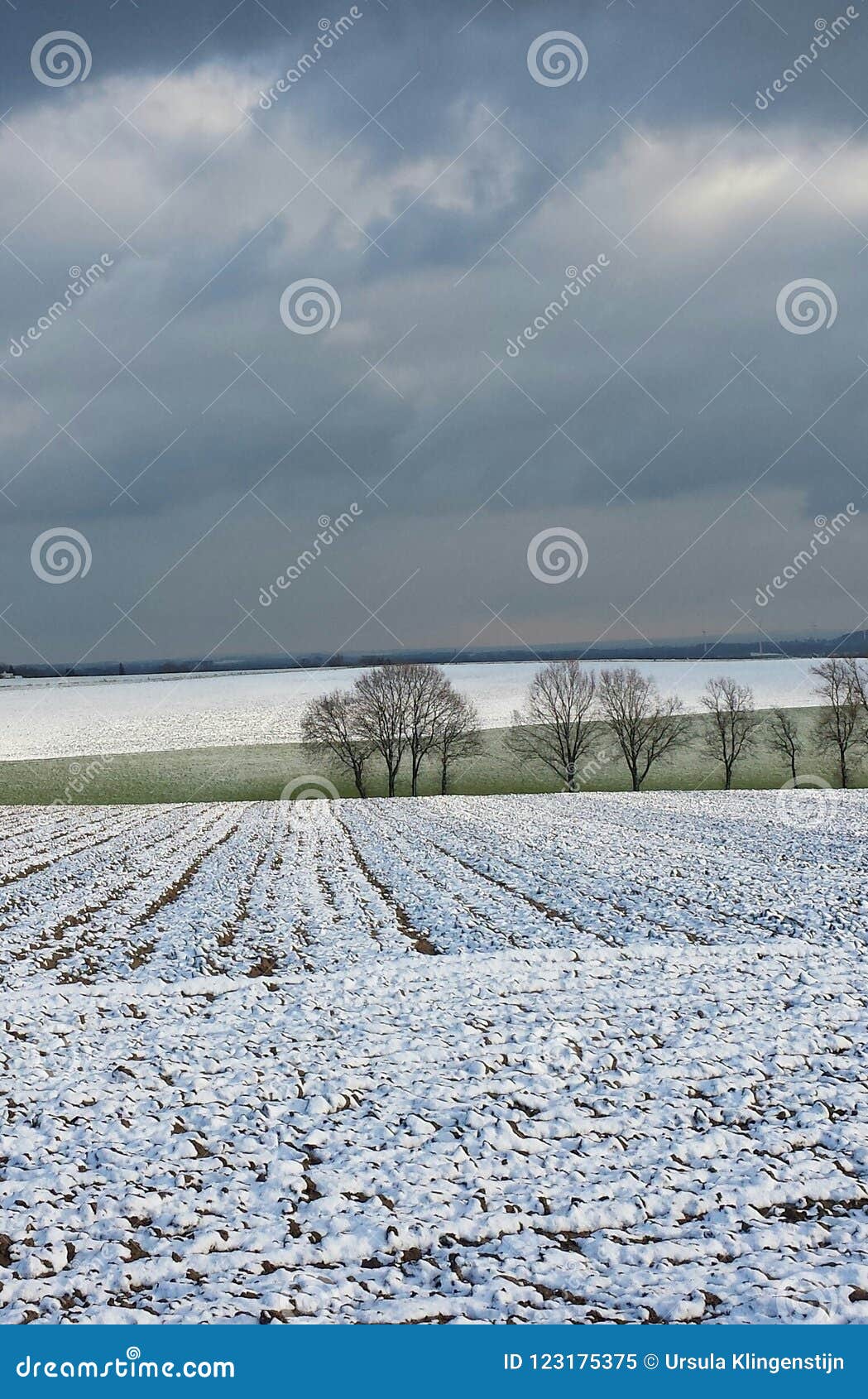 Winter landscape treeline stock image. Image of landscape - 123175375