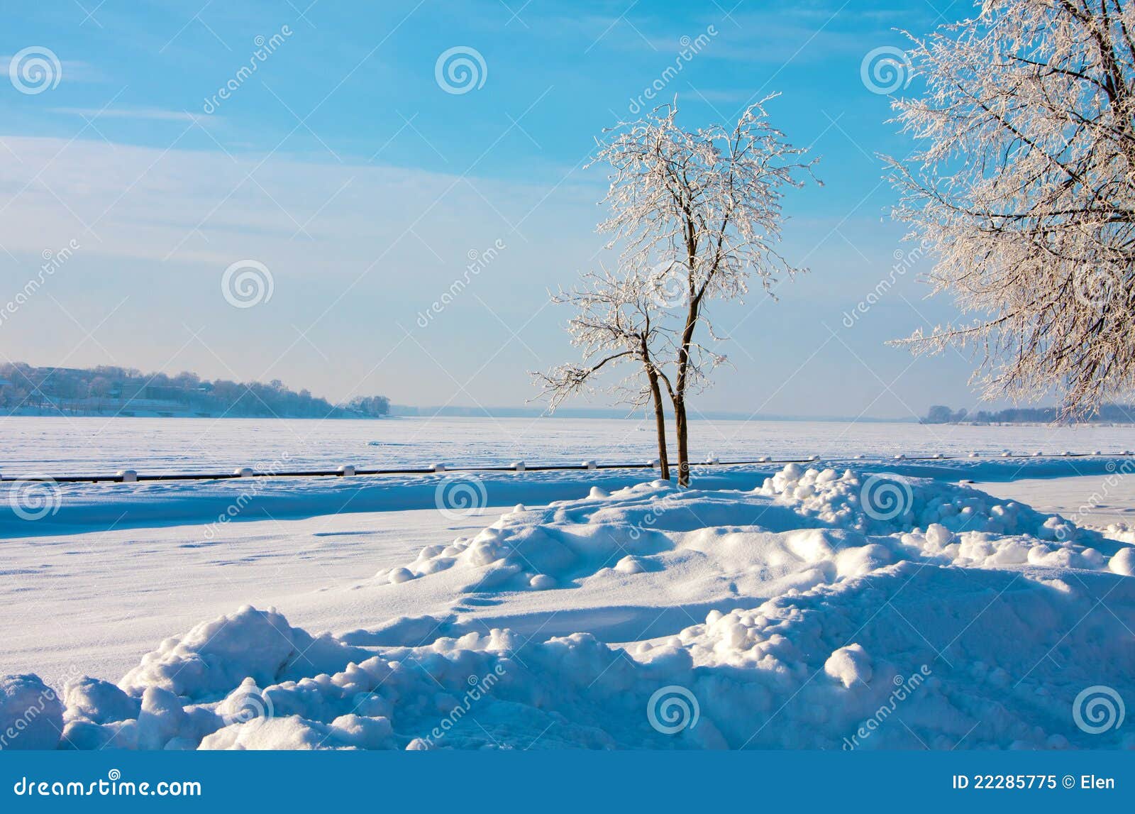 Winter Landscape with Trees Stock Image - Image of freeze, fine: 22285775