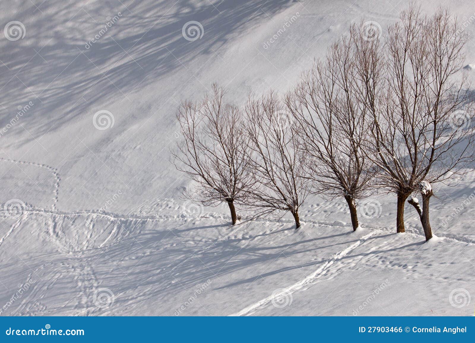 Winter landscape and trees stock photo. Image of embrace - 27903466