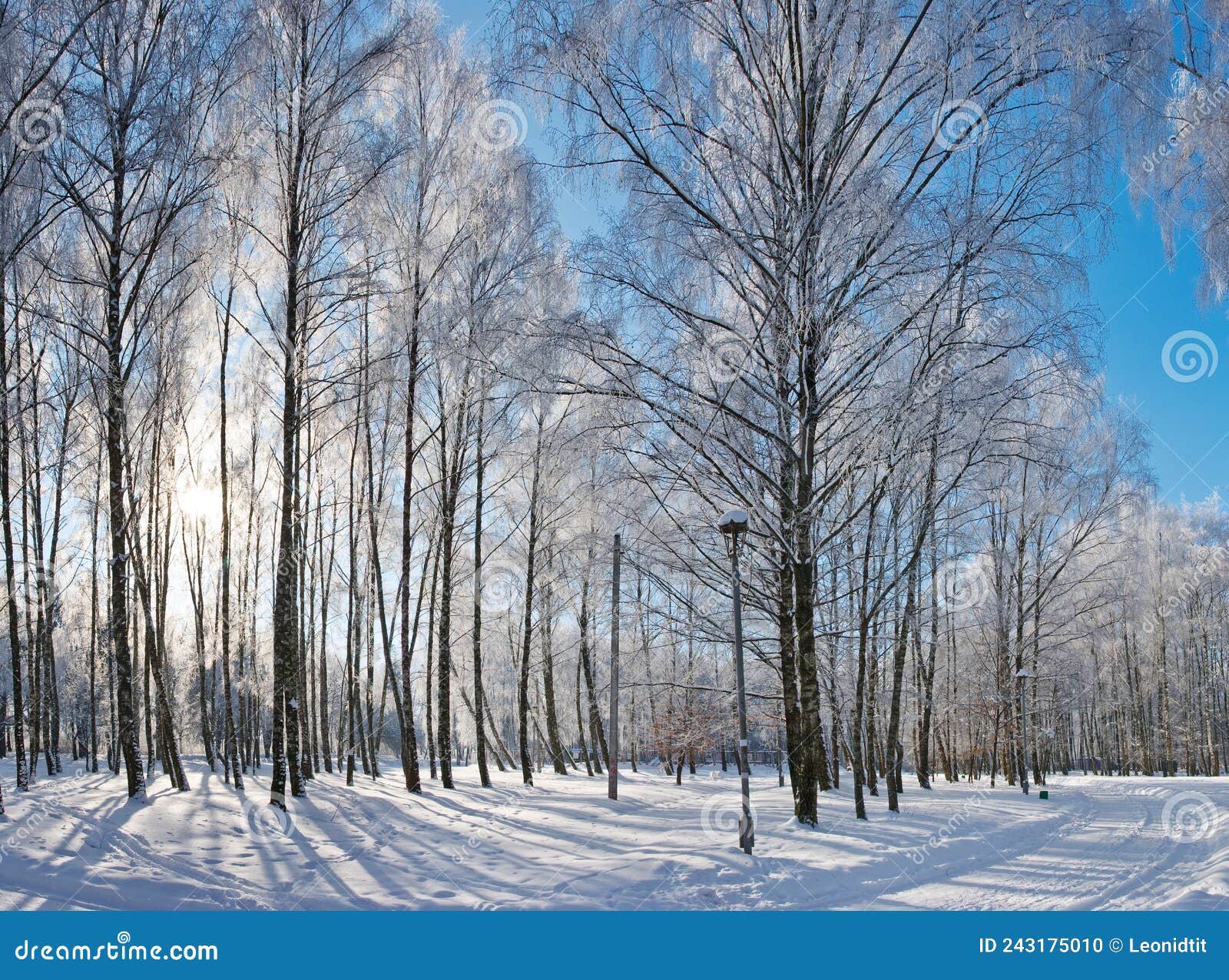Winter landscape stock photo. Image of scenic, season - 243175010