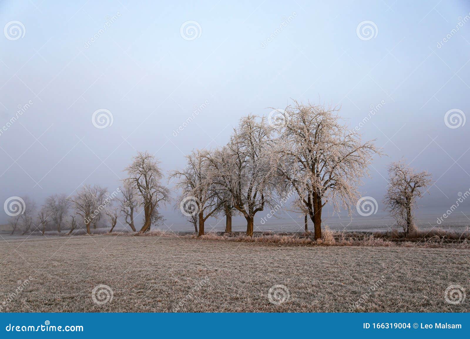 Winter Landscape with Trees Covered with Hoarfrost Stock Photo - Image ...