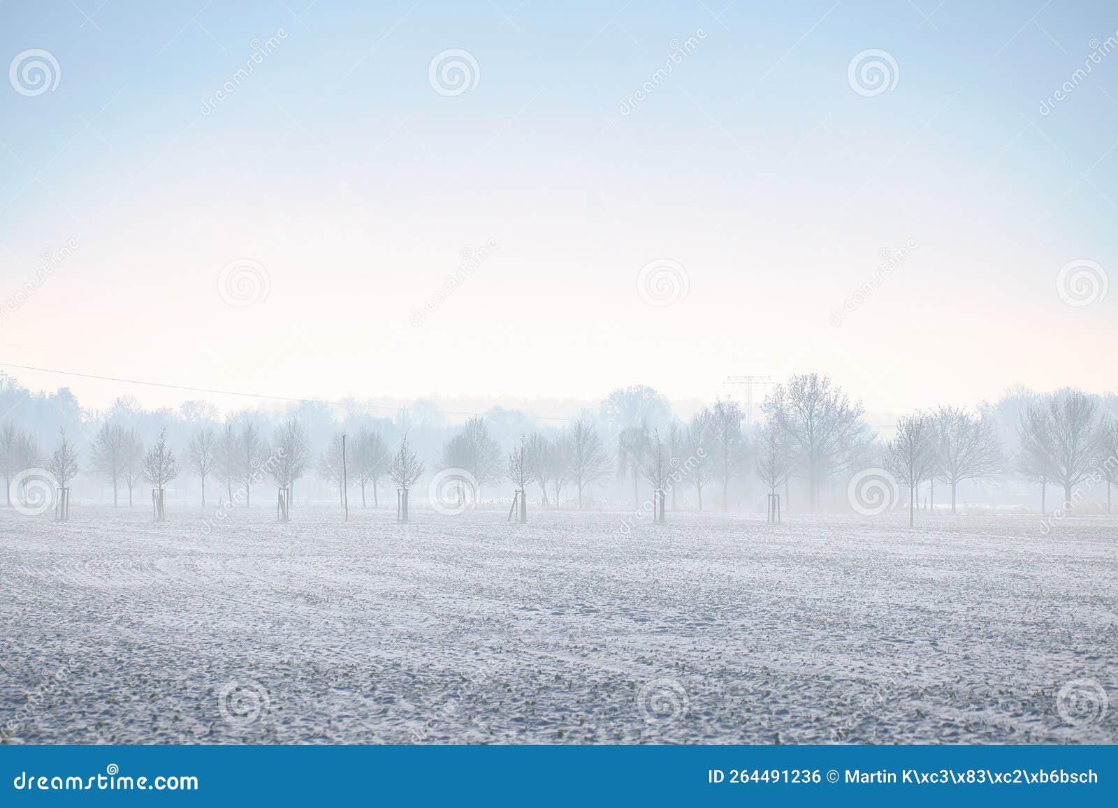 Winter Landscape with Trees on the Edge of a Field Covered with Snow ...