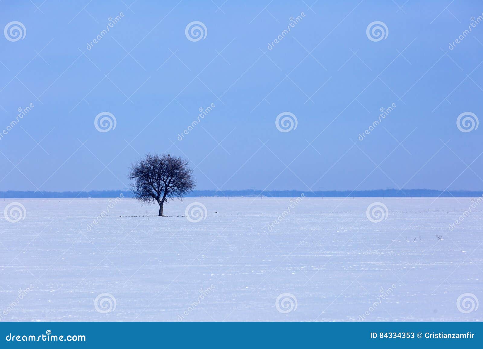 Winter Landscape with Trees and a Field Stock Image - Image of rural ...