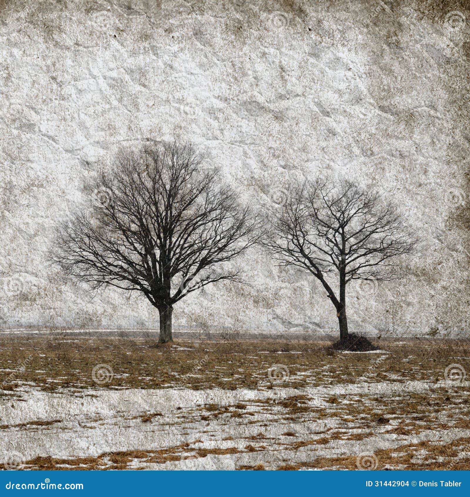 Winter Landscape with Trees Stock Photo - Image of view, branch: 31442904