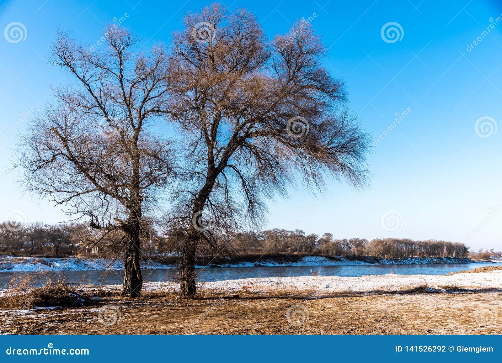 Winter Landscape with Trees, River and Forest, Dry Tree without Leaf ...