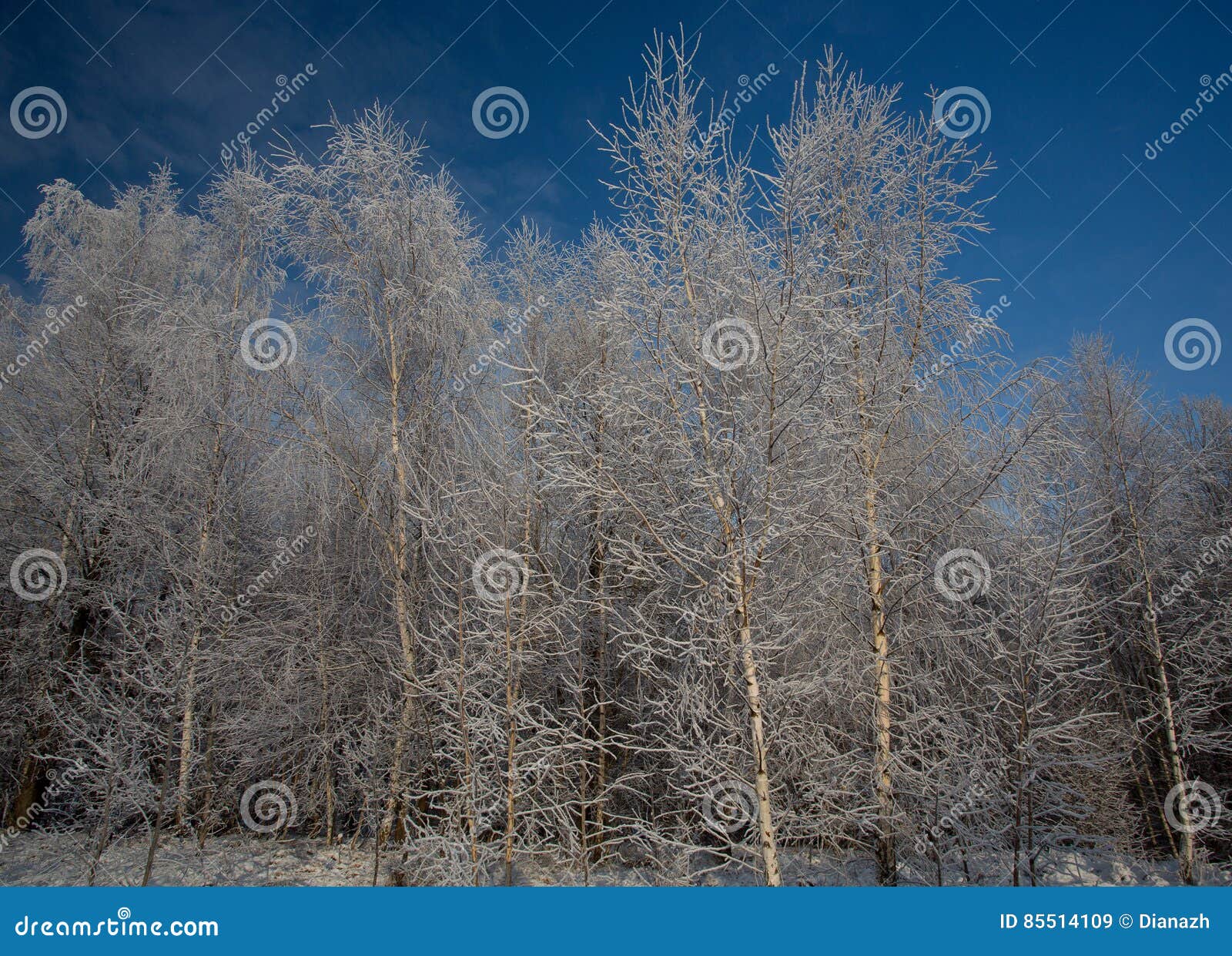 Winter landscape stock image. Image of scenic, russia - 85514109
