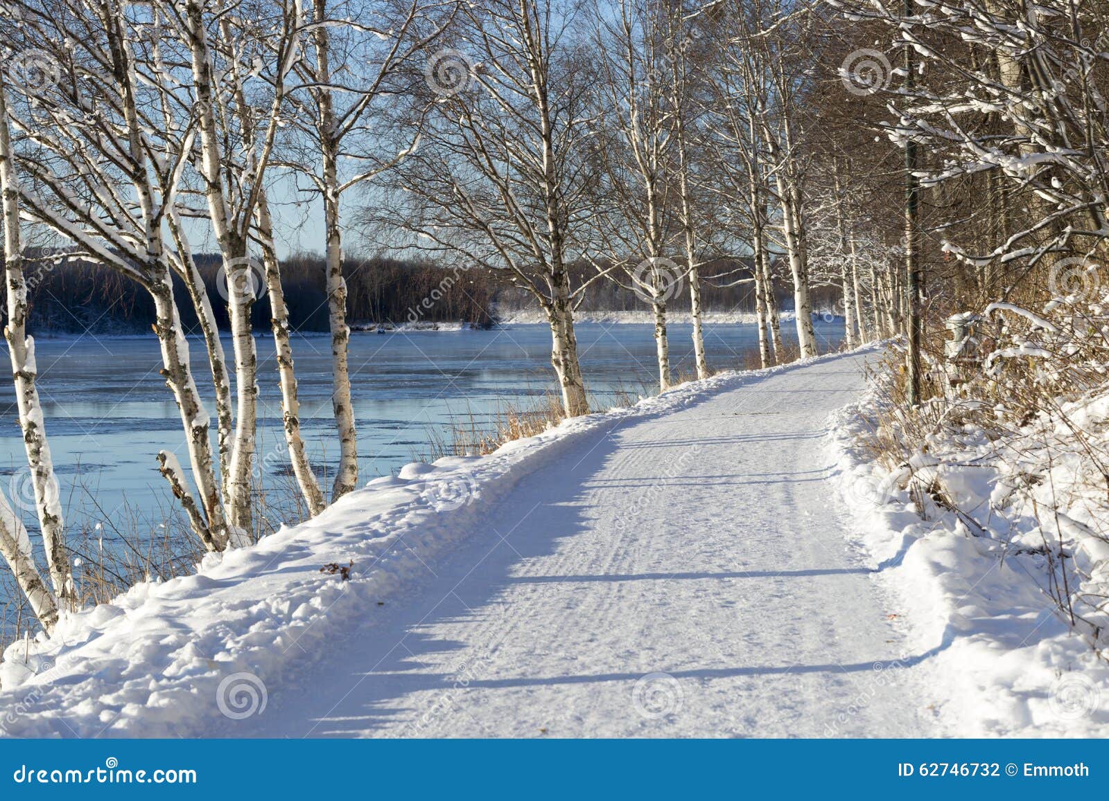 Winter Landscape in UmeÃ¥, Sweden Stock Photo - Image of birch, road ...