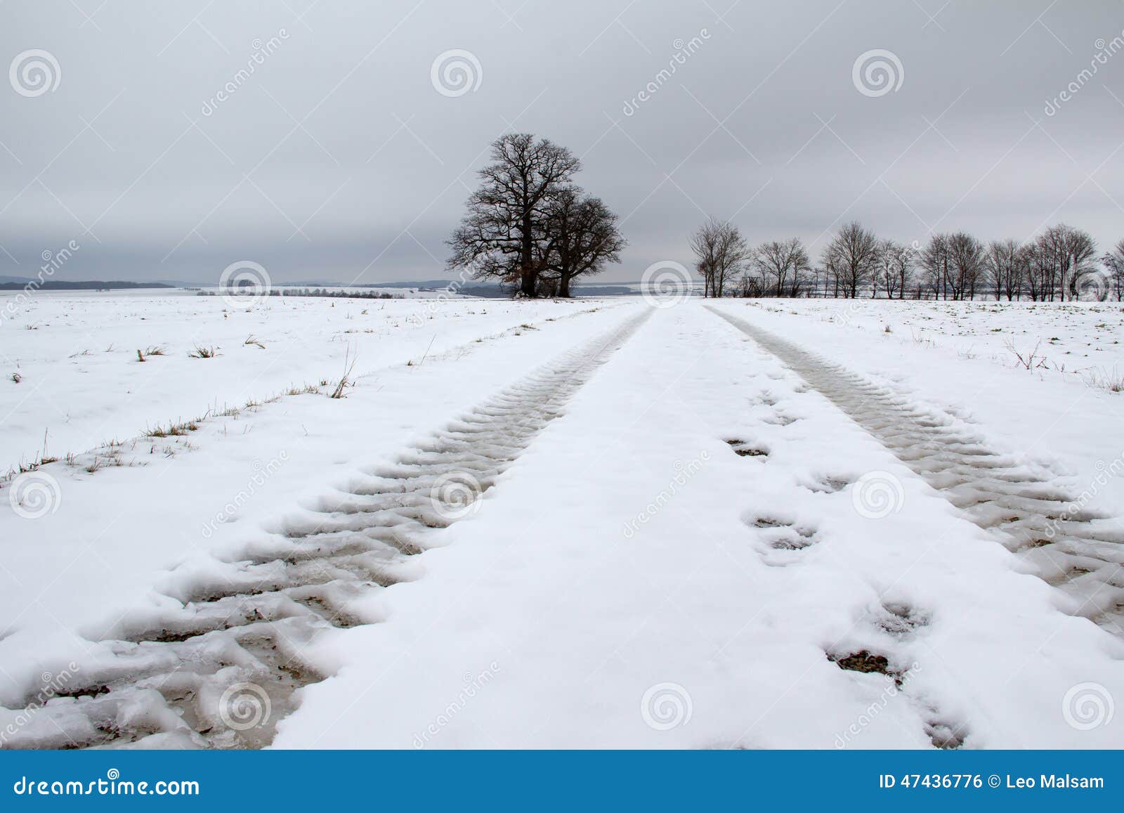 Winter landscape stock photo. Image of wood, area, light - 47436776