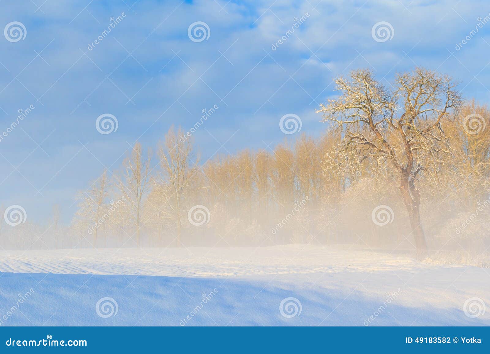 Winter Landscape View Fields Forests Covered Snow Fog Stock Photo ...