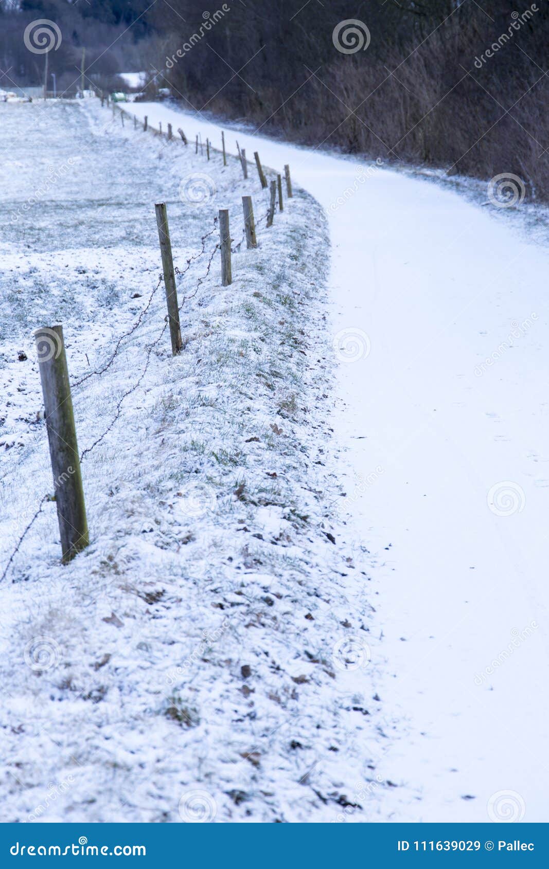 Walking Path with Snow and Trees Stock Image - Image of scenic, cloud ...