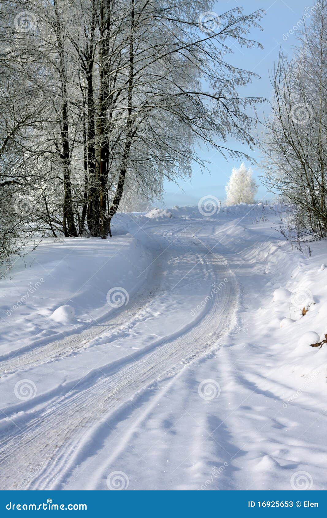 Winter landscape. Way stock image. Image of scenery, forest - 16925653