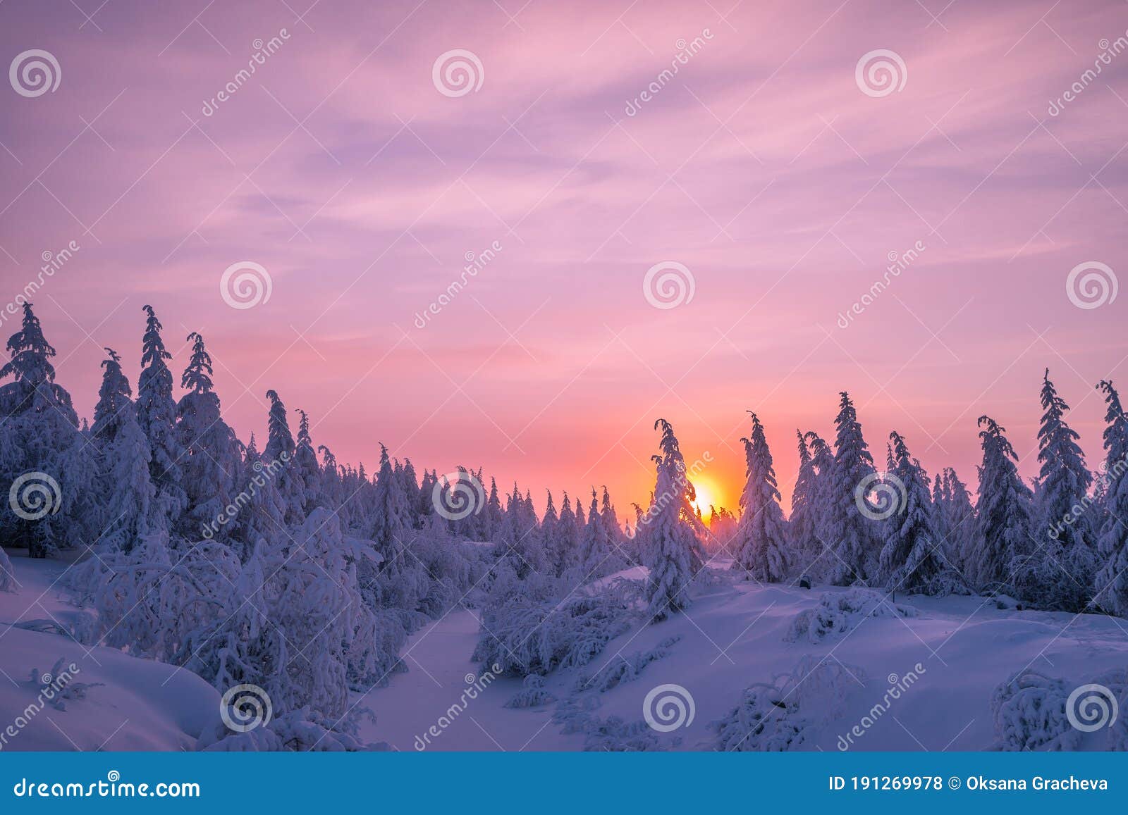 Winter Landscape with Forest, Cloudy Sky and Sun. America, Country ...