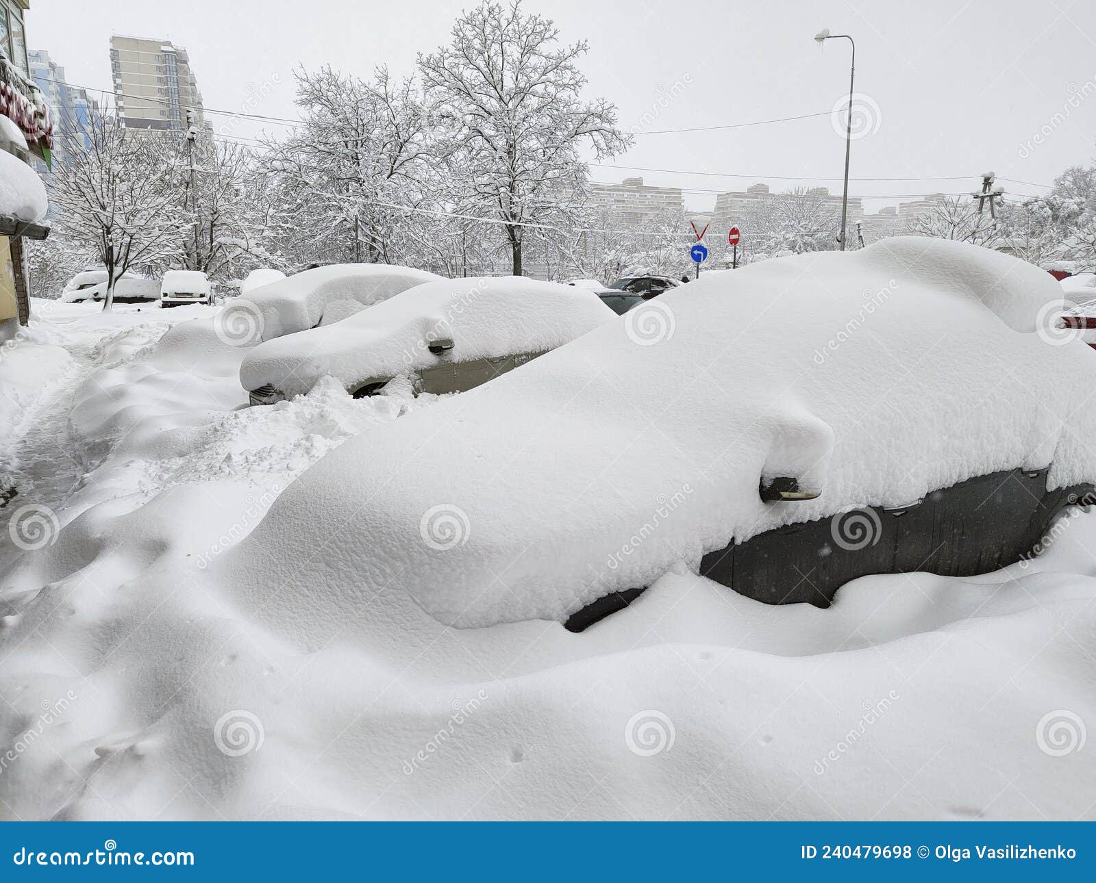 Winter. a lot of snow stock photo. Image of panorama - 240479698