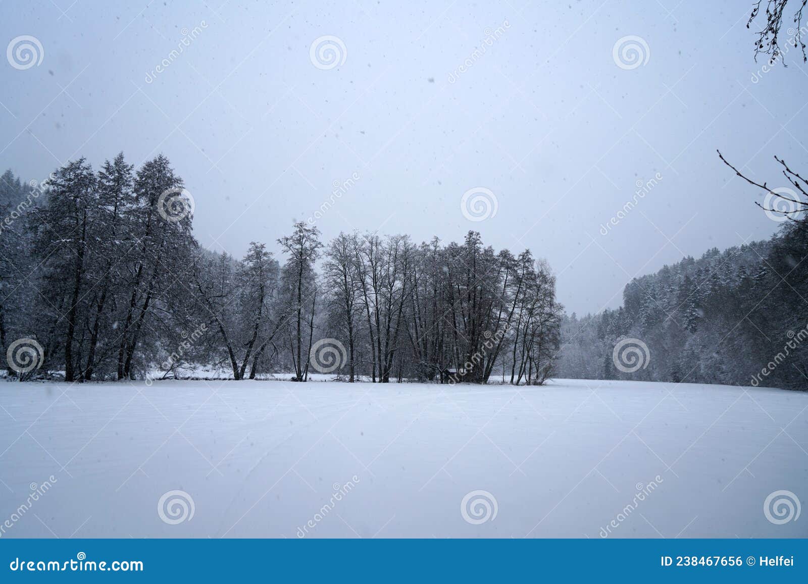 Winter with lots of snow stock photo. Image of snow - 238467656