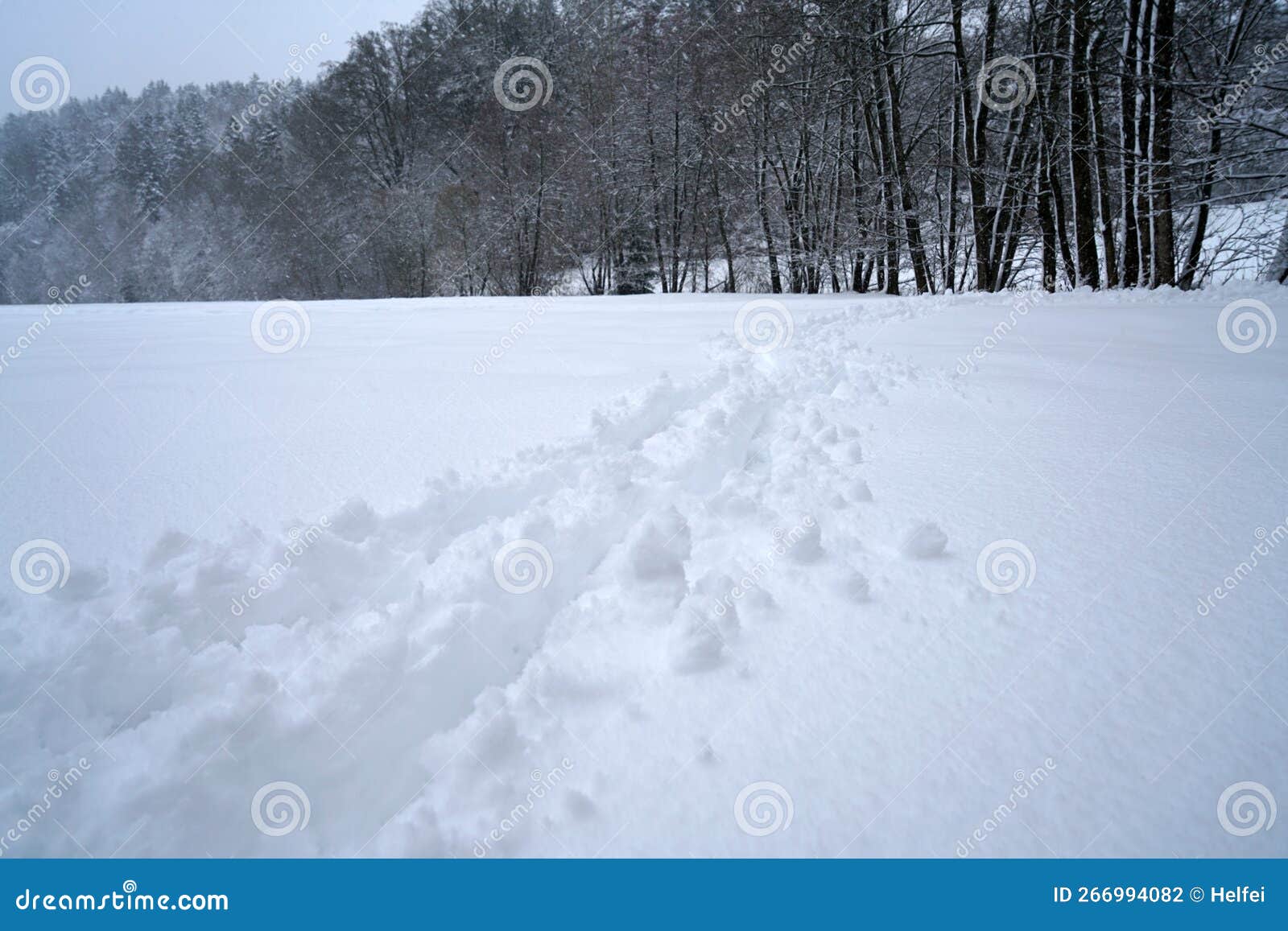 Winter with Lots of Snow in Bavaria is Beautiful Stock Photo - Image of ...