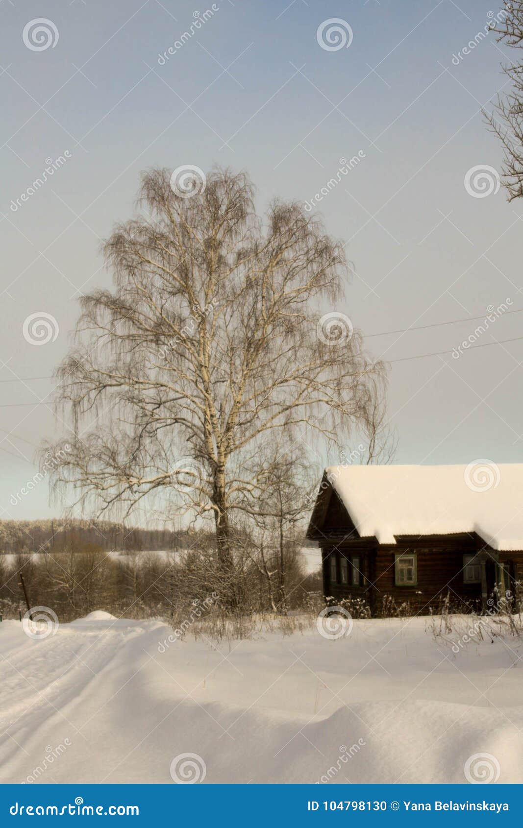 Winter with Lots of Snow in Russian Countryside Stock Photo - Image of ...